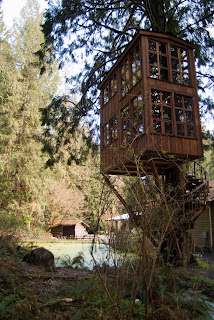 This is something I saw once.: Treehouse Point Weekend, Fall City