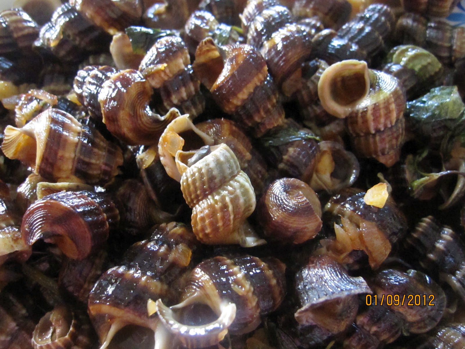 爱煮 ,爱吃: 炒Balitong