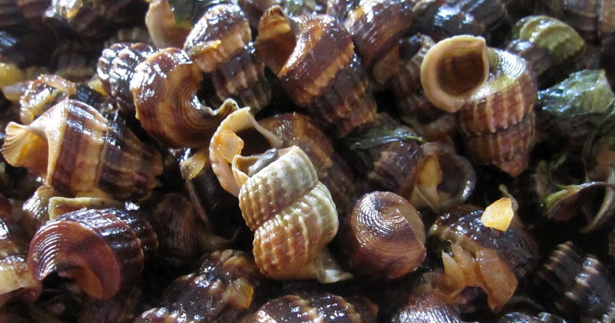 爱煮 ,爱吃: 炒Balitong