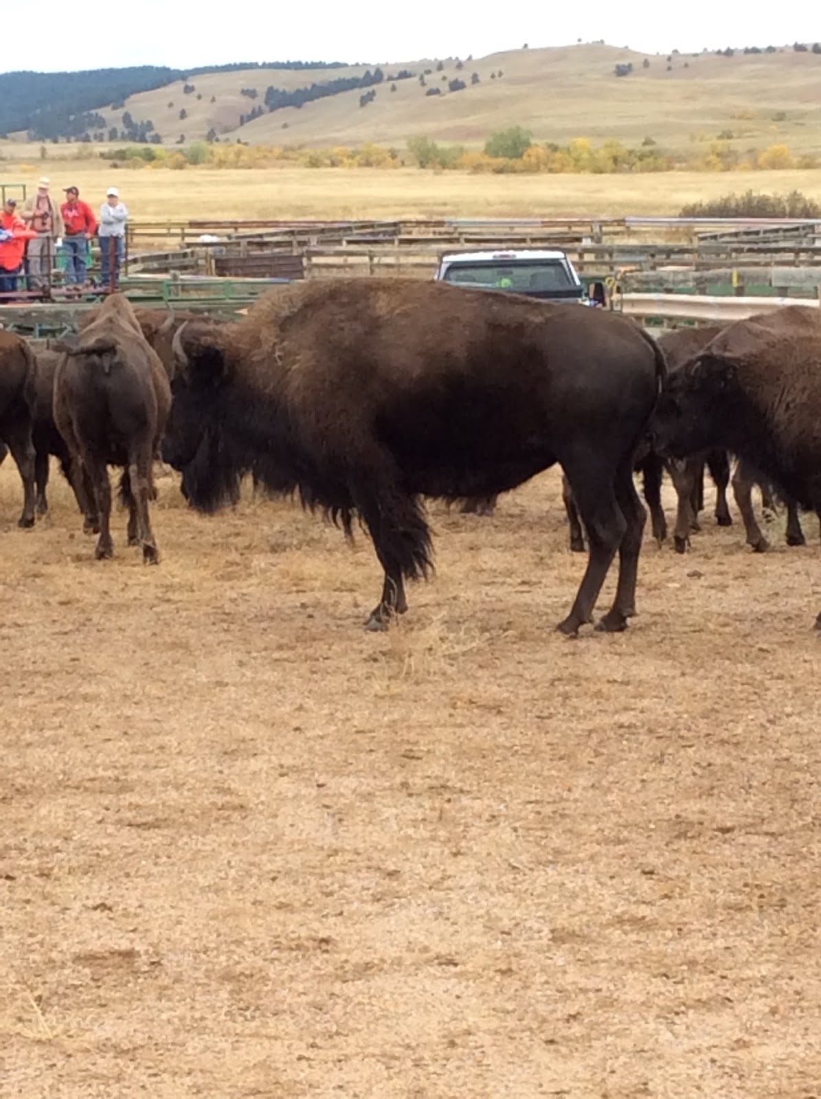 Tony and Judy in Paris: 2017