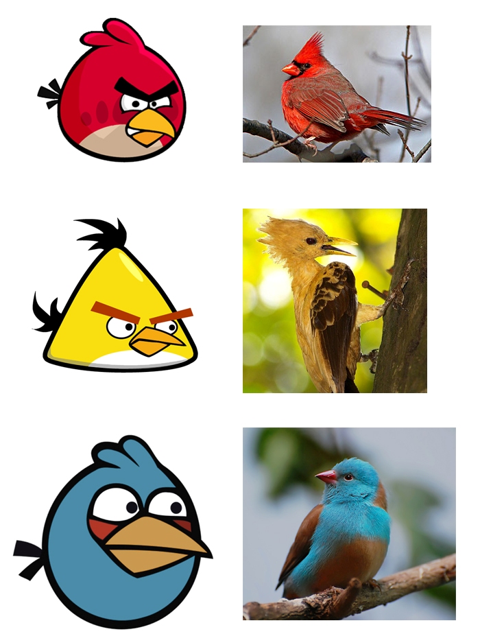 Fakta Unik Angry Birds ~ Hardy Nocturnal
