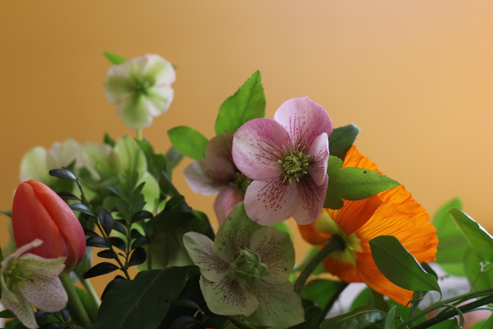 haley tobias blog: Kentucky Derby Party