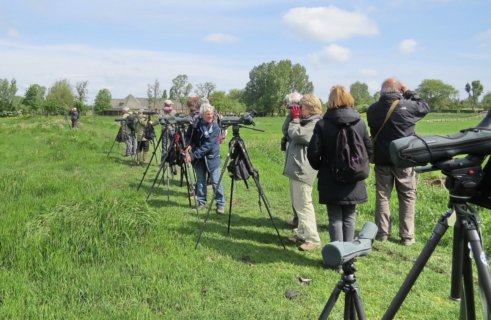 De Vogelaars: De Groene Jonker, Ruygeborg en Botshol. Een excursie van ...