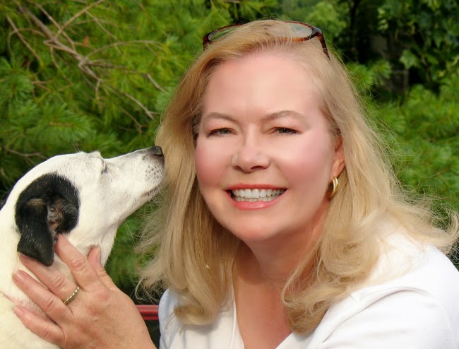 Writers Who Kill: Krista Davis Interview