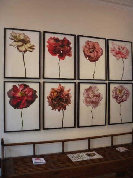 Charlotte's Web: Rachel Levy at Stephanie Hoppen Gallery