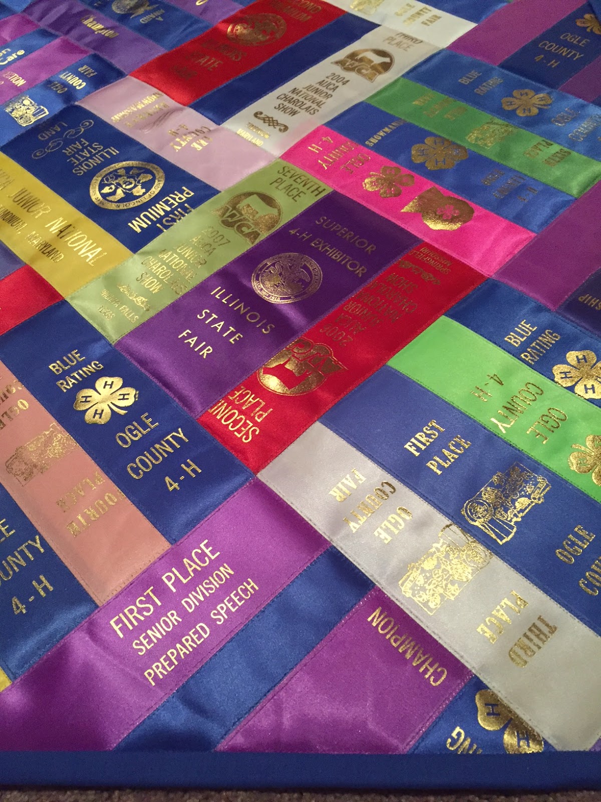 Carrie On The Prairie: Emily's Ribbon Quilt