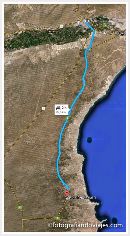 Punta Tombo: un millón de pingüinos de Magallanes en Argentina