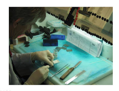 Dermatopathology Made Simple - Inflammatory: Skin Stains