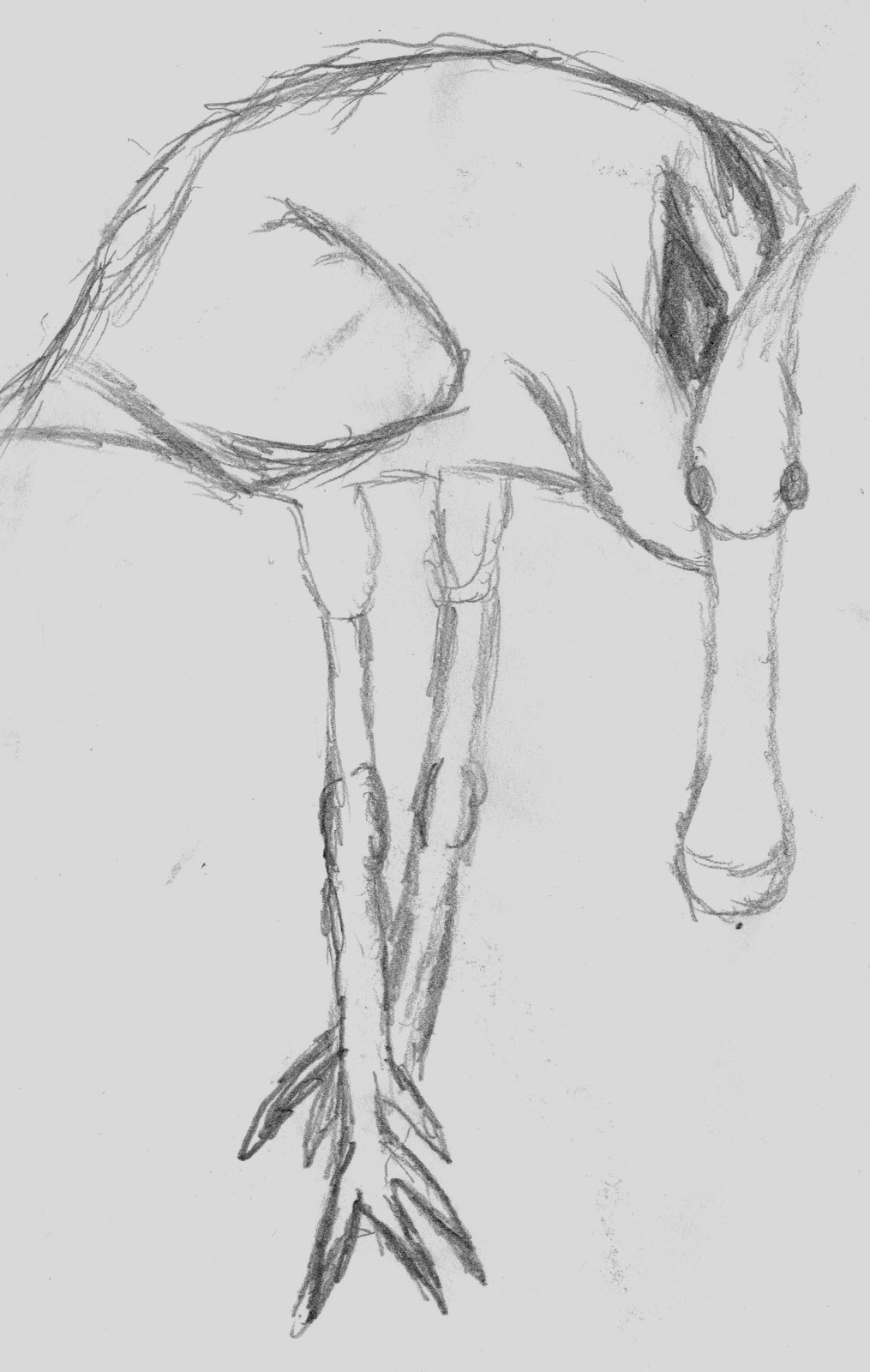 Second Observational Drawing Blog - Daniel Jacobs: Week 8 - Non-human ...