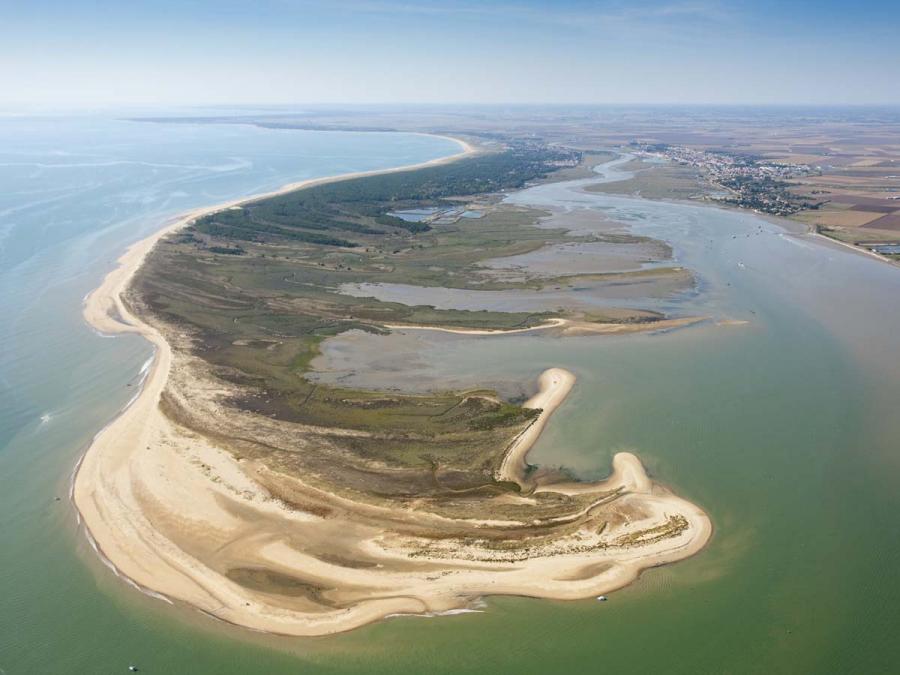 Balades Vendéennes...: Pointe d'Arcay