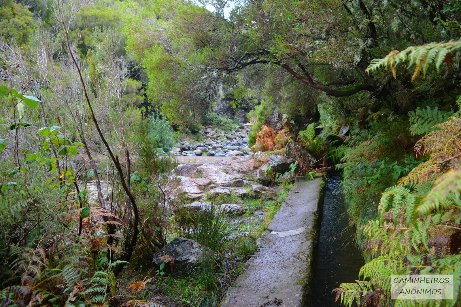 Caminheiros Anónimos Levadas da Madeira : Levada Grande do Paul (Calheta)