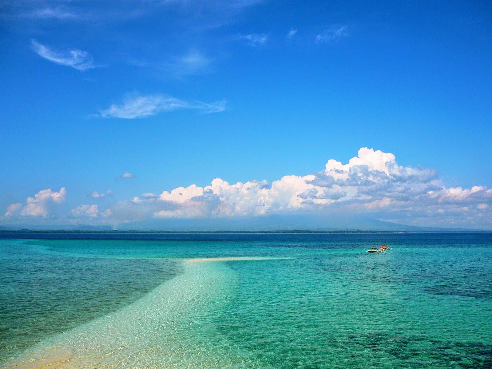 Carbin Reef ~ Negros Island! THE Sweet Spot of the Philippines!