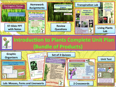 Amy Brown Science: Springtime is the Perfect Time to Teach the Plant ...