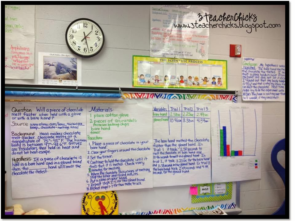 3 Teacher Chicks: Scientific Method and Science Fair
