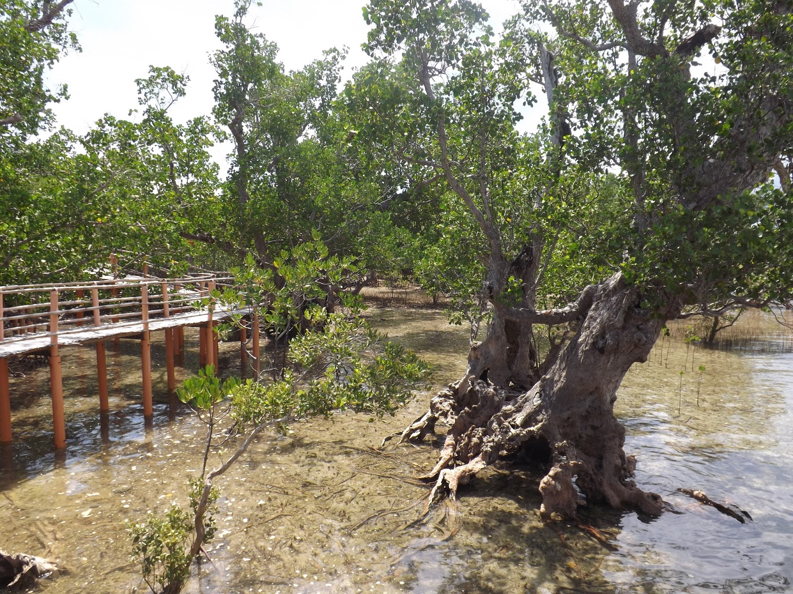 TRAVEL GUIDE: SUYAC ISLAND PHILIPPINES - Touristang Pobre