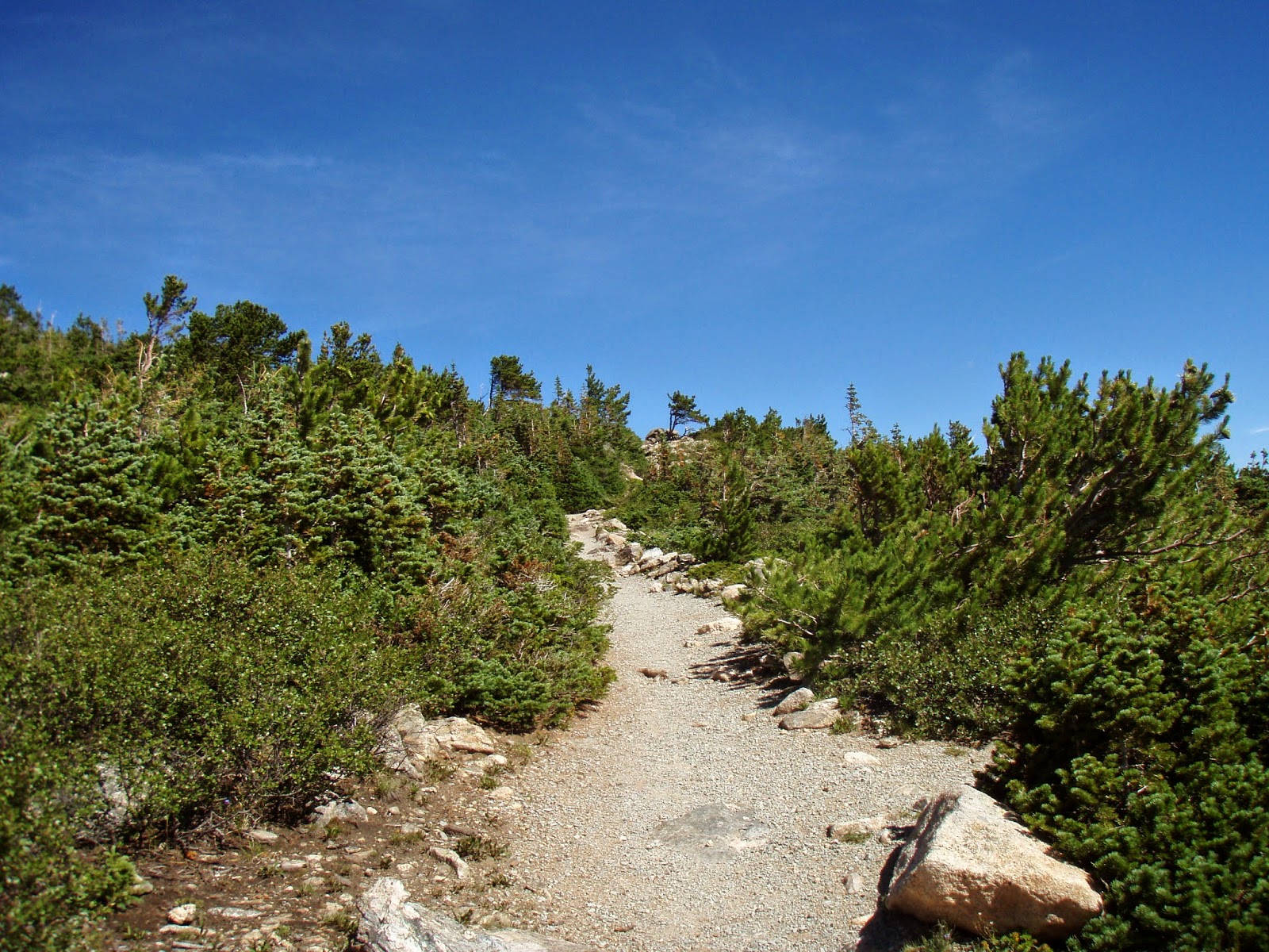 Sweet Tea, Science: Road Trip Record: Three Ecosystems in One Hike