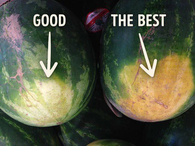 Wonder Fruits, Plants and Seeds: Sa mga mahilig sa pakwan ito ang ... Wonder Fruits, Plants and Seeds: Sa mga mahilig sa pakwan ito ang ...