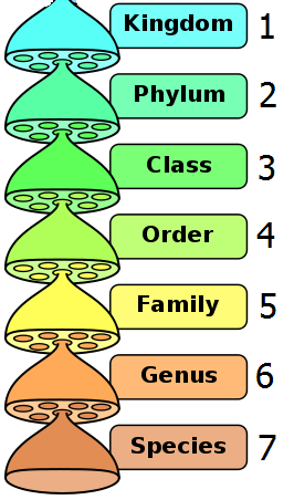 # 2: Classification of living organisms | Biology Notes for IGCSE 2014 ...