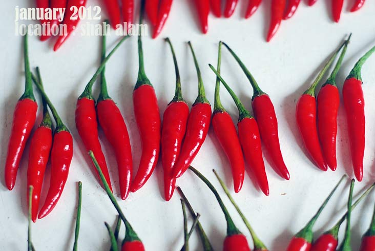 Absolutely Emy: Minggu #1, 2012