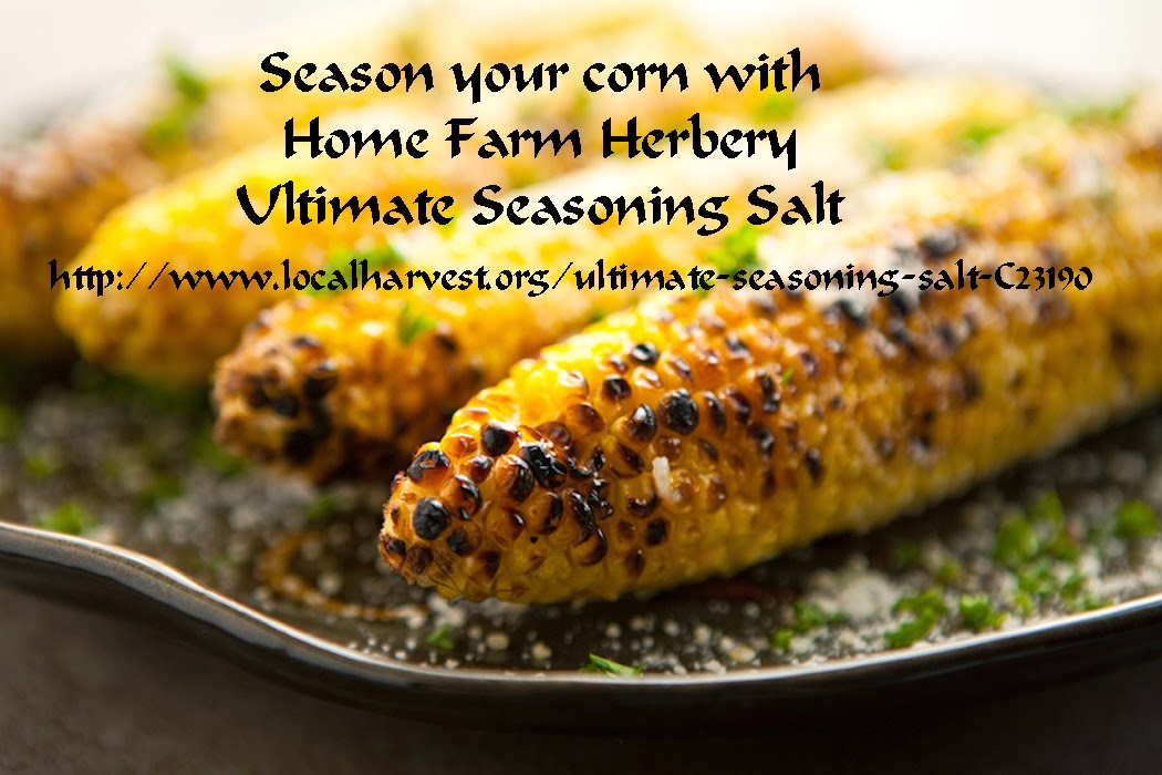 14 great Chemical Free dry rubs and seasonings for outdoor cooking and ...