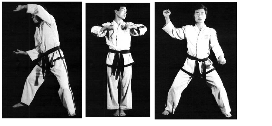 Foot Fist Way: 11: Po-Eun headlock defense