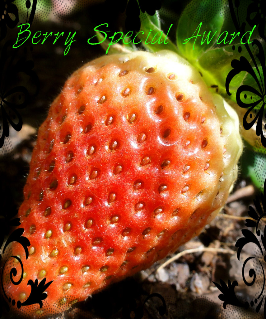 Jane's Jewels: July 2012