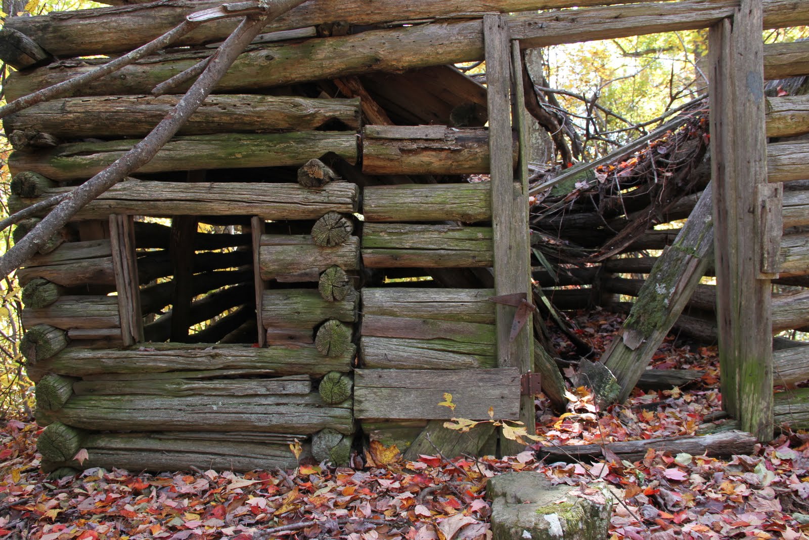 John Carlin's Virginia: The Sarver Cabin