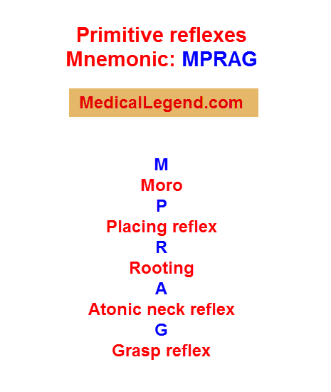 Medical Mnemonics Master: Primitive reflexes Medical mnemonics