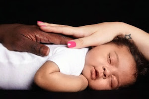 Melez nedir ne demektir? Anlamı - Laf Sözlük