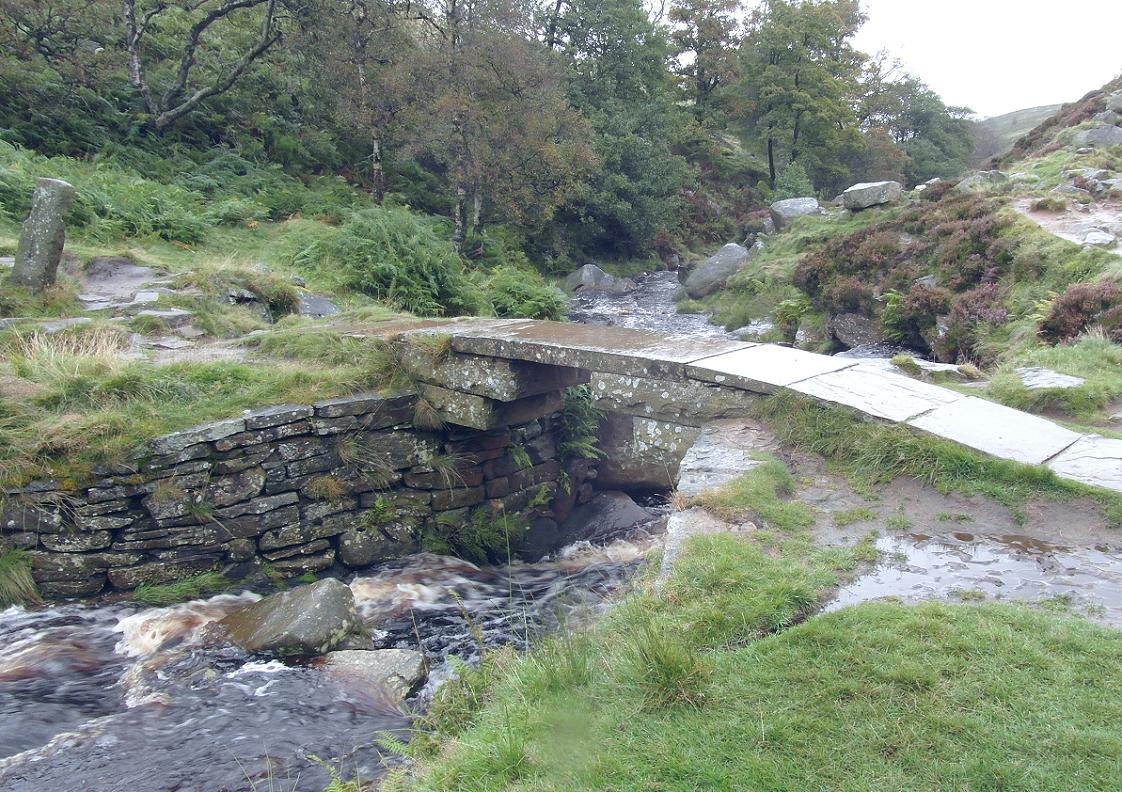 Dannysbirds: Bronte Bridge & Waterfall