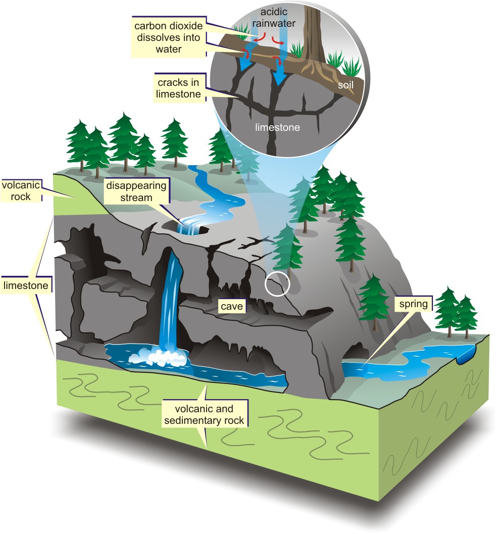 Mengenal Daerah Karst (Kapur) - Biologizone