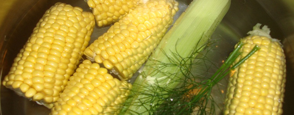 CALDEIRÃO DE PLANTAS MEDICINAIS: Propriedades do milho doce