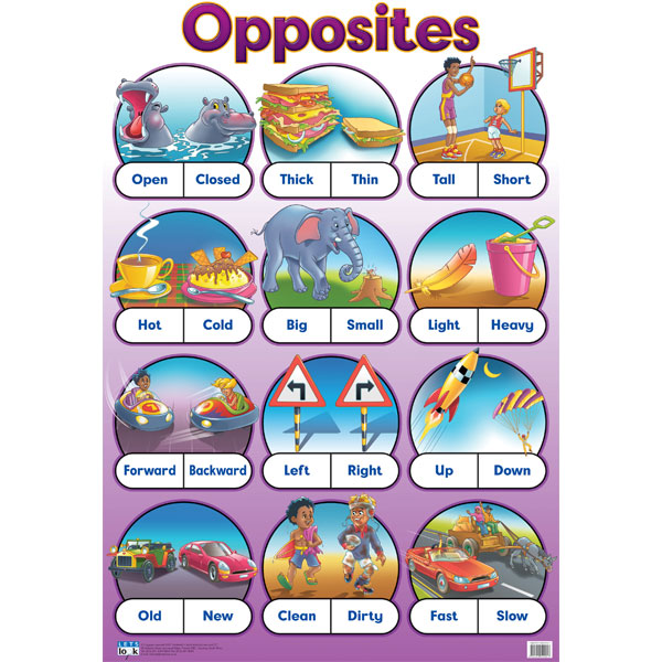 A Boy in Wonderland: Opposites