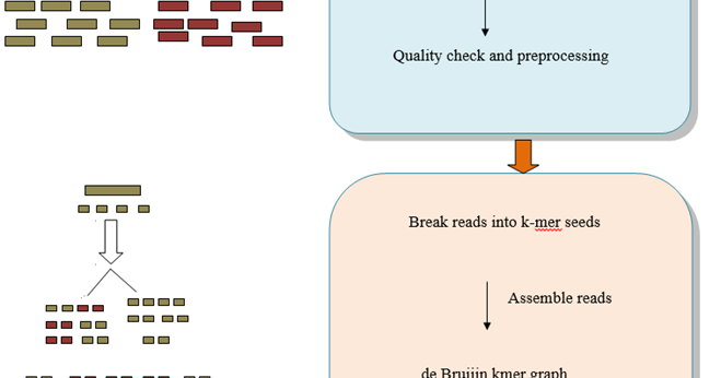 Bioinformatics Tools: De-Novo Transcriptome Assembly and Annotation