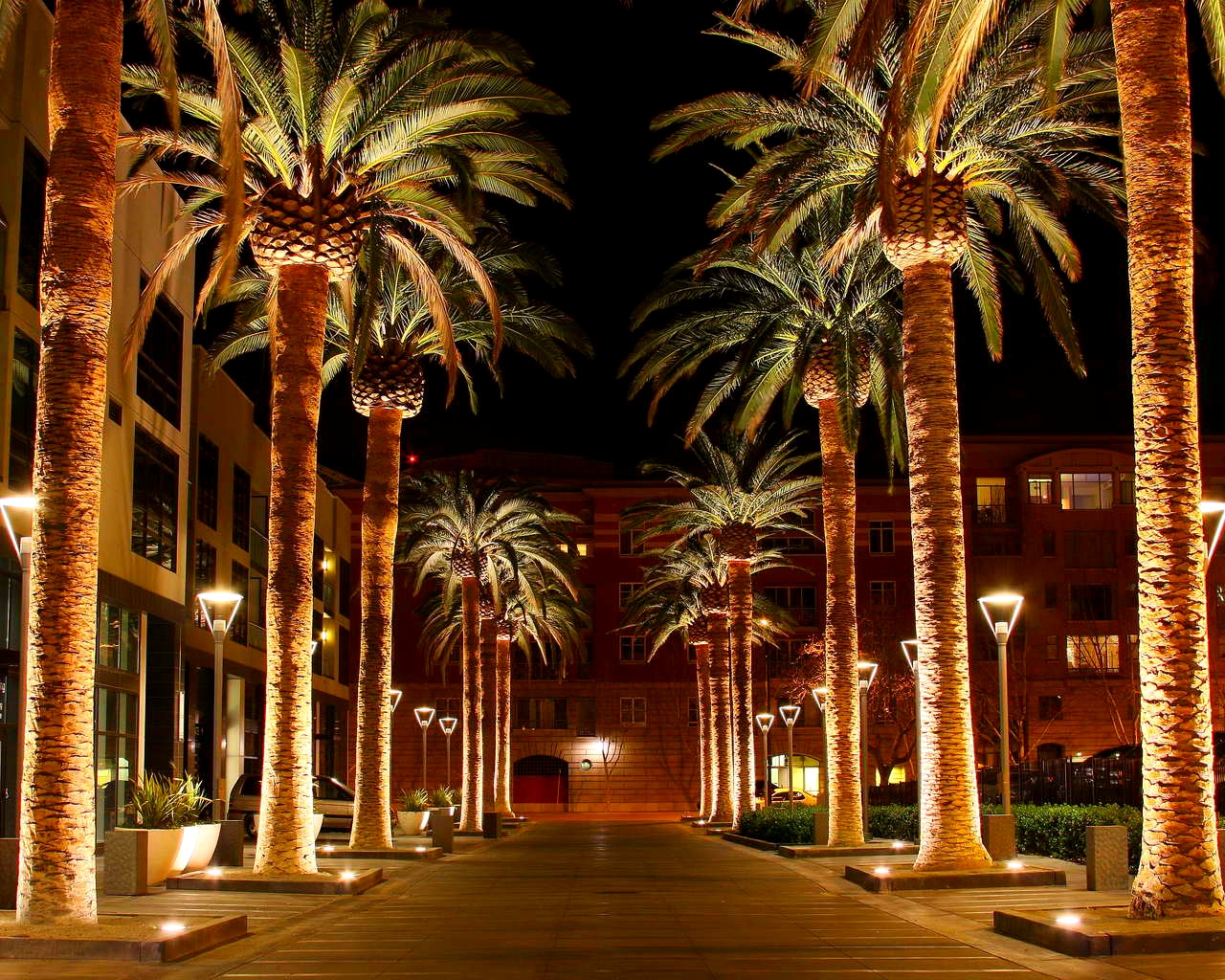 Keindahan Pepohon Sepanjang Jalan... - Relaks Minda