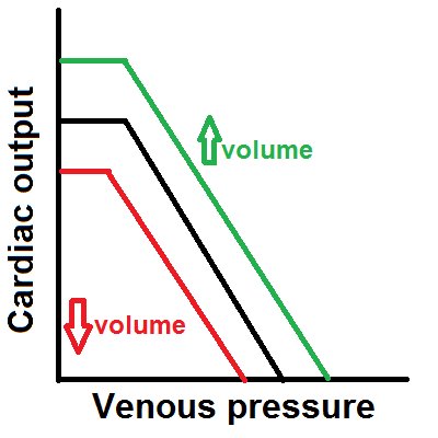 Year 11 Misadventures: Venous Pressure and Vascular Function Curves