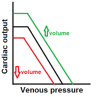 Year 11 Misadventures: Venous Pressure and Vascular Function Curves