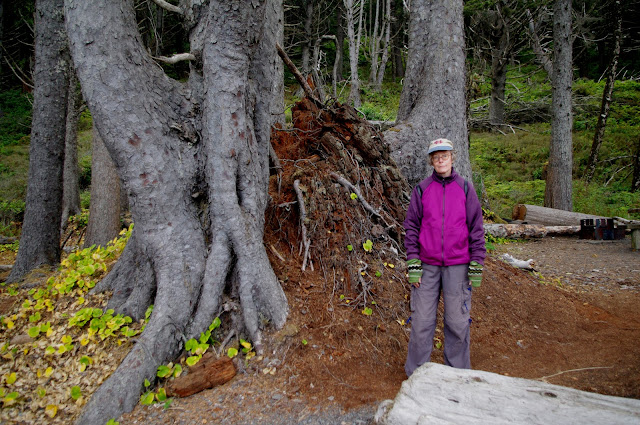 Our Trip Out West: 9/23/12 -- Forks and La Push
