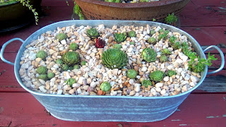 Bucket Outlet: 101 Different Uses for Buckets