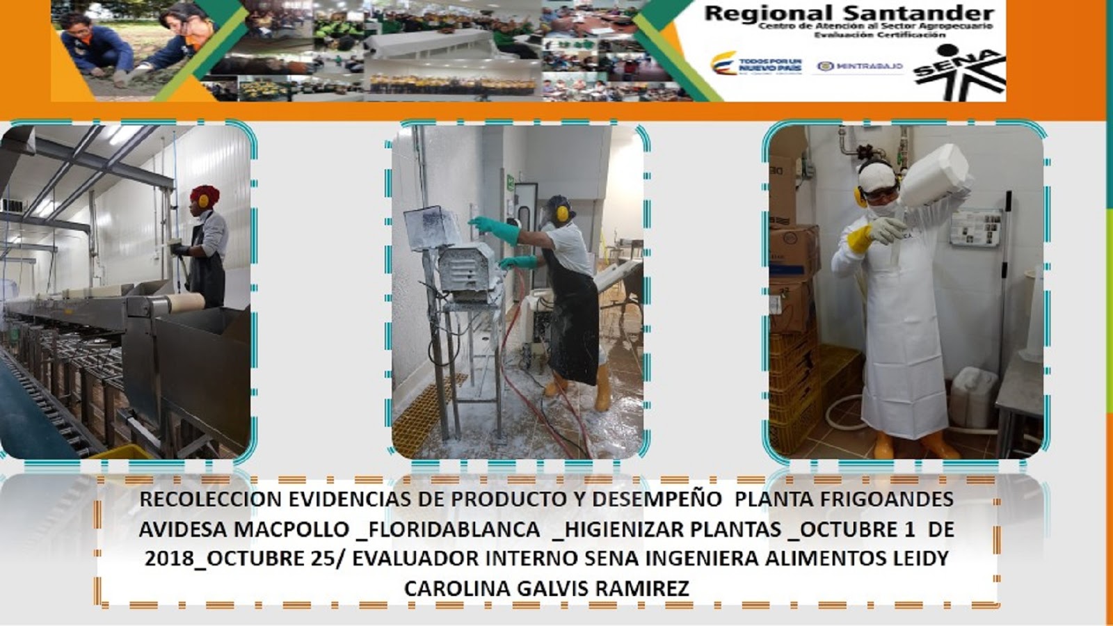 C18: Proceso AVIDESA MACPOLLO PN 4327 Avicola 2018