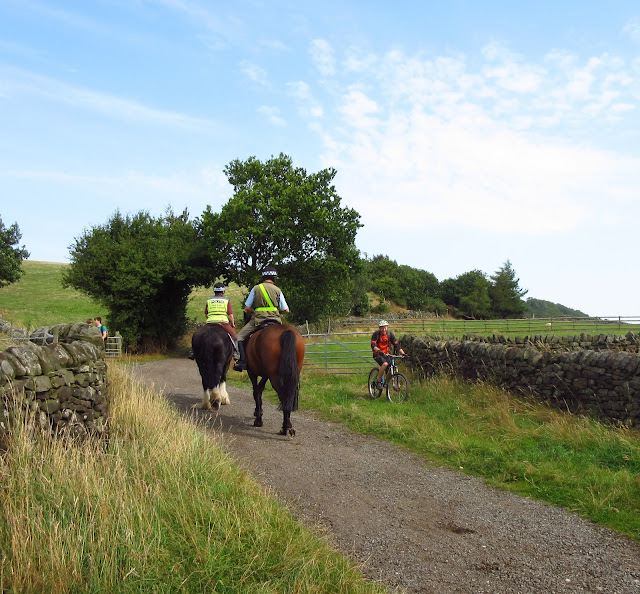 Bunny Mummy: A Sunday Family Walk