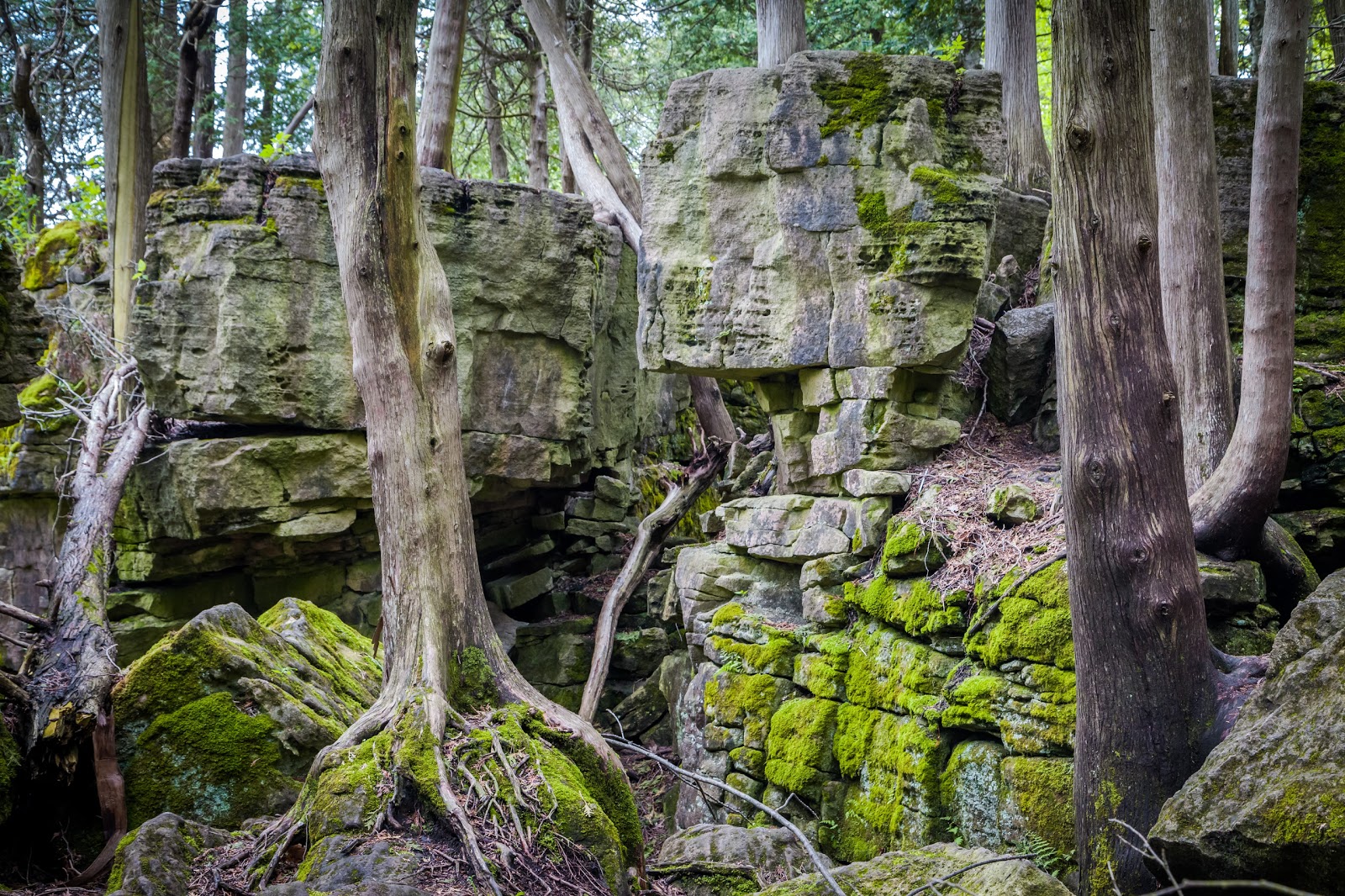 Bruce Trail in Ontario Turns 50 This Year - Let's Hike to Celebrate ...