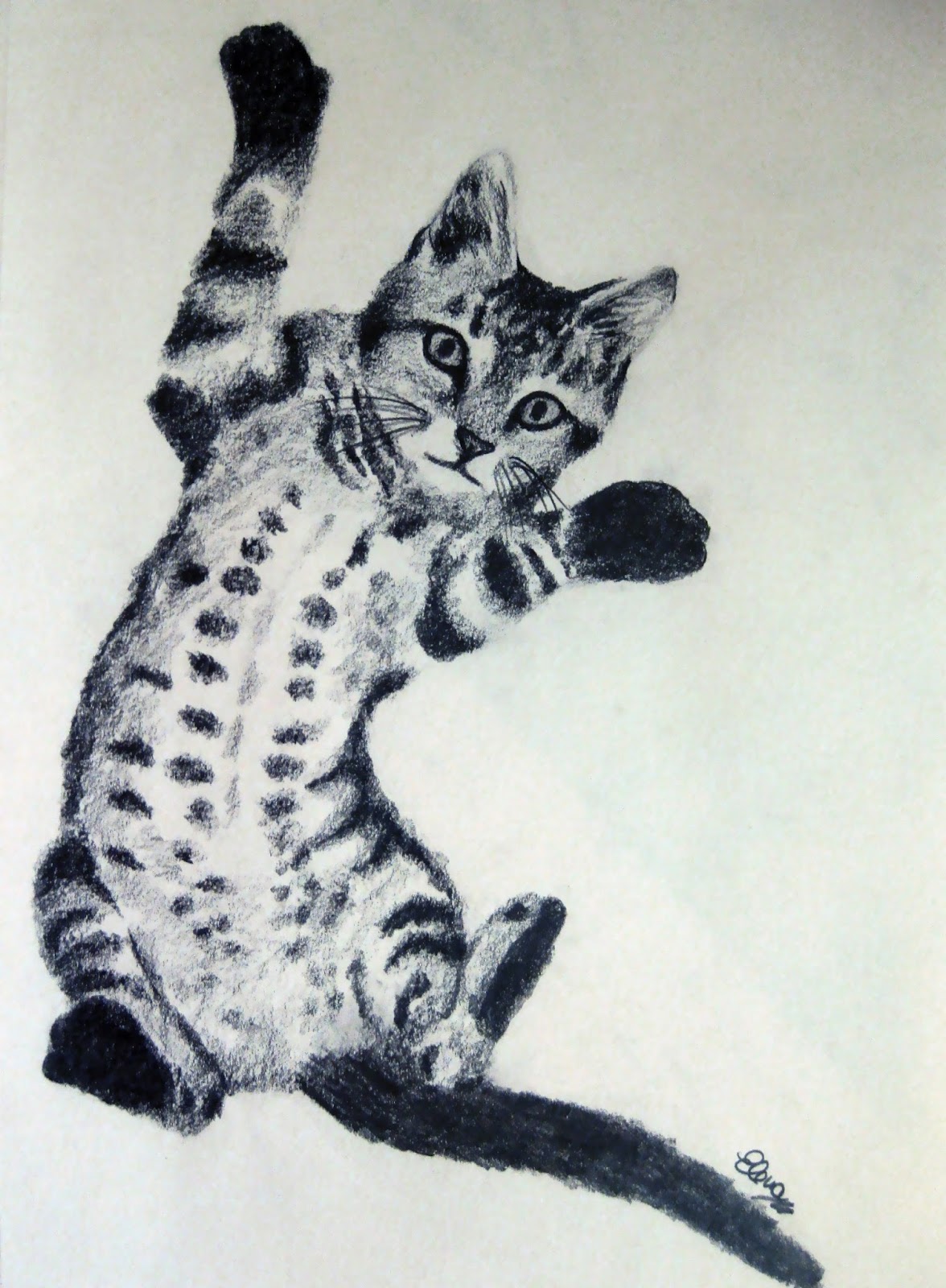 Birdynata: Gato saltarín a lápiz