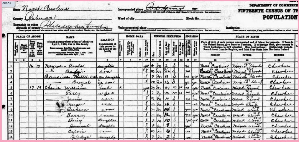The African-Native American Genealogy Blog: Basic Census Documents for ...