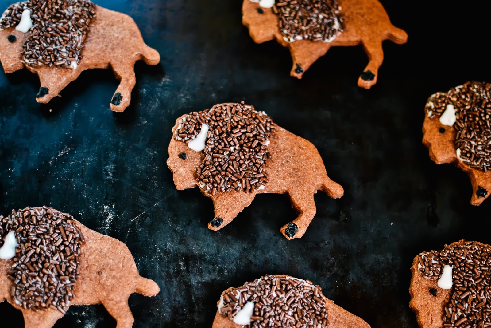 p.s.♡: tasty tuesday: bison cookies (chocolate sugar cookies)