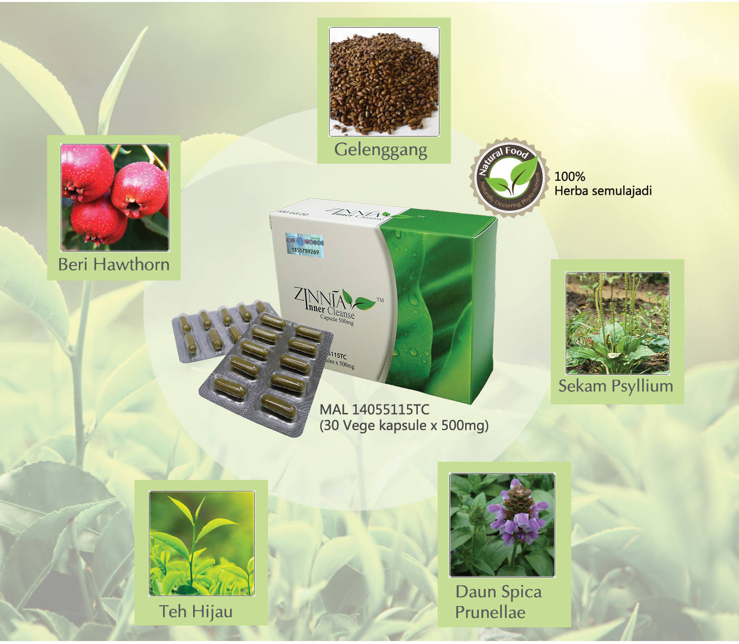 AIRA BEAUTYCARE: ZINNIA INNER CLEANSE