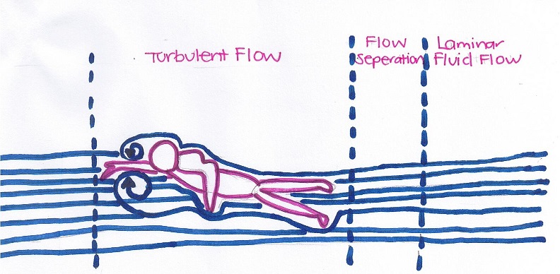 Biomechanics of Open Water Swimming