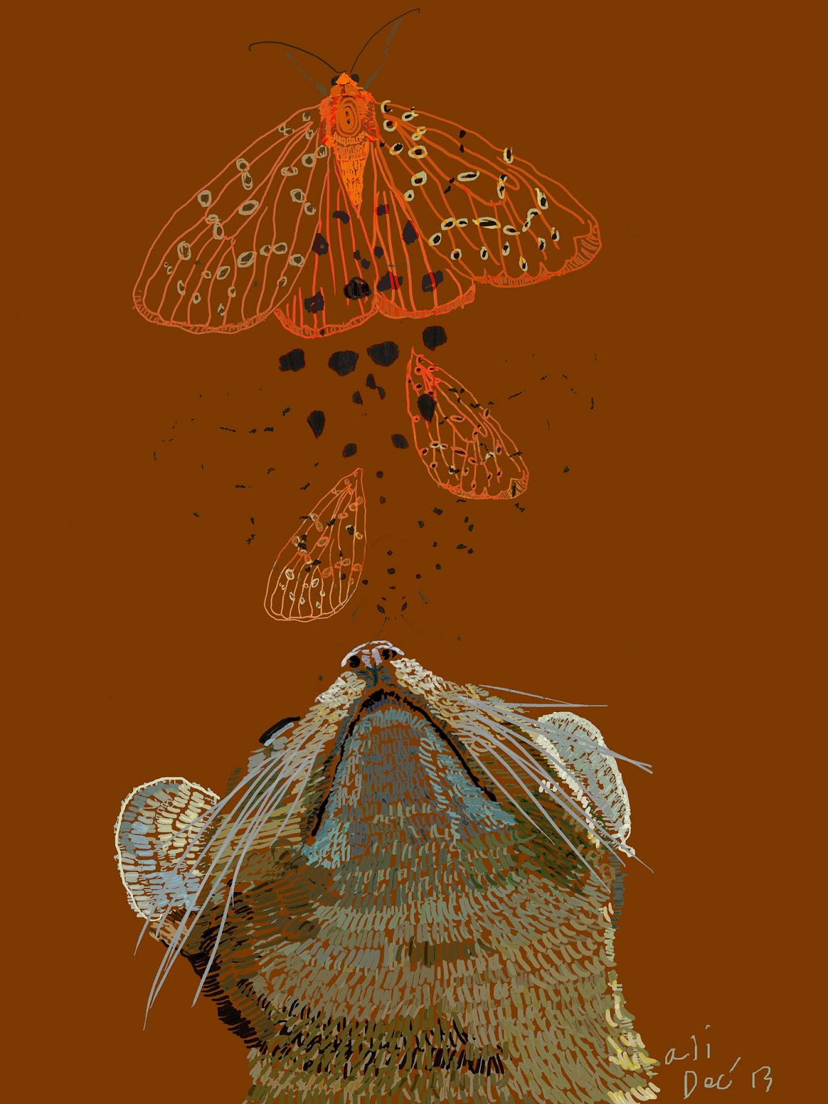 D o k n o m m e a w - p l a y: Cat with Moth