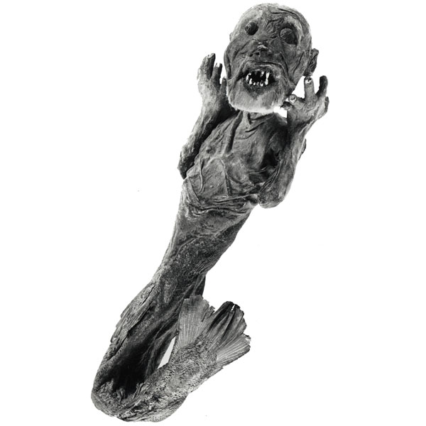 The Early Modern World: Of Mermaids and Mermen