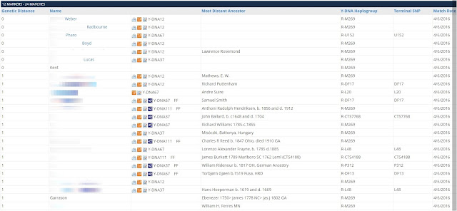 Ancestry Island: My Dad's Y-DNA Results Came Back: Haplogroup R-M269